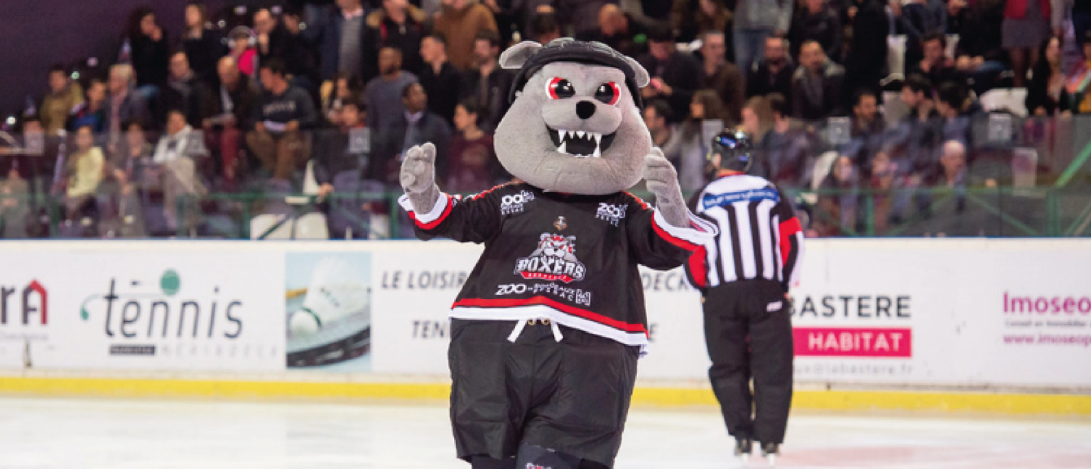 Les Boxers de Bordeaux et METPARK poursuivent leur partenariat pour la ...